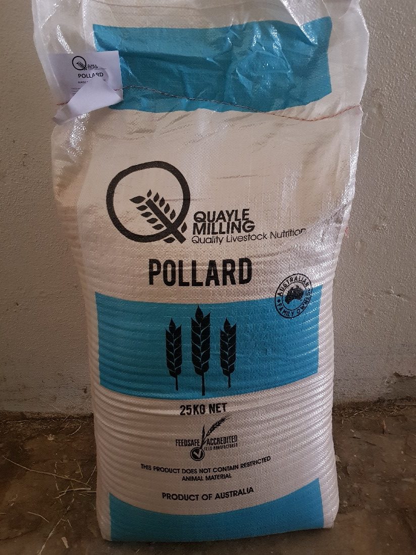 Pollard 25KG – Powells' Stockfeeds